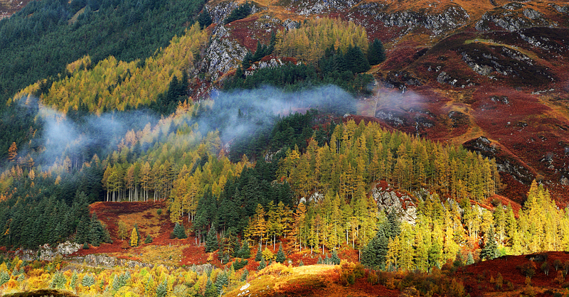 PACE and other acceleration options at the EPO - Hindles