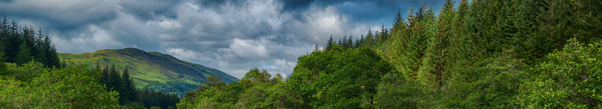 The Series Finale: UKIPO set to abolish the series trade mark - Hindles